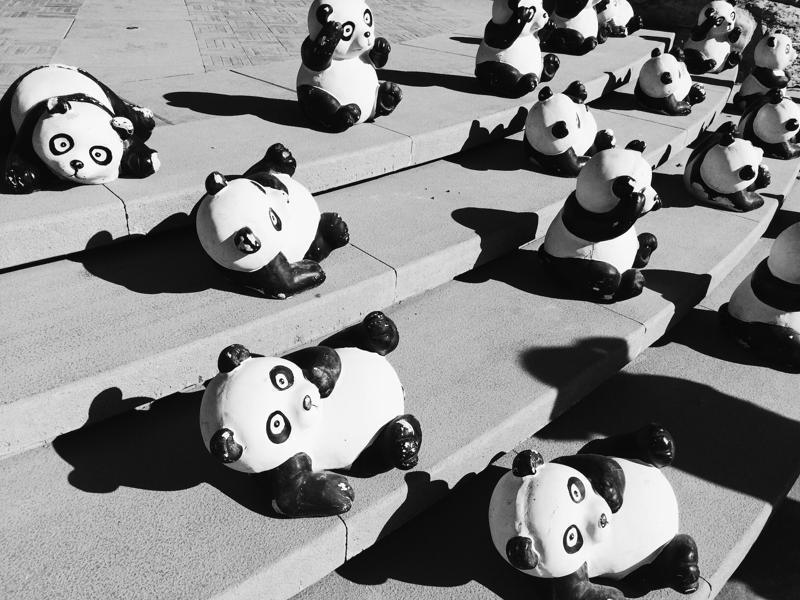 Boolean Indexing And Sorting In Pandas Canard Analytics