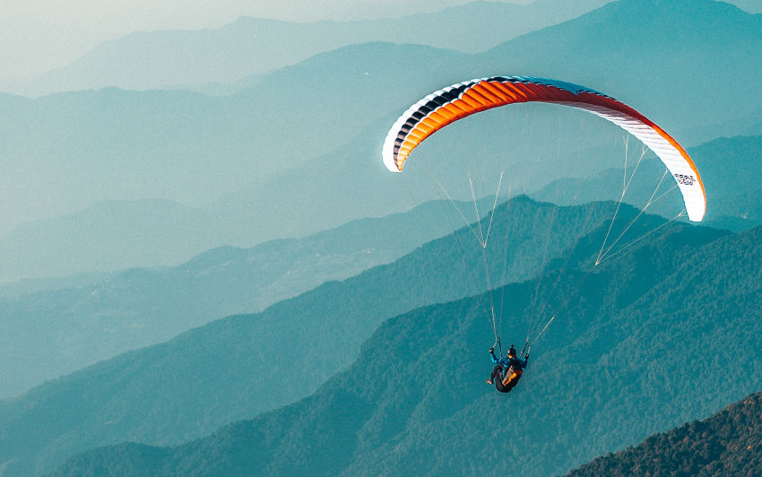 About Canard Analytics